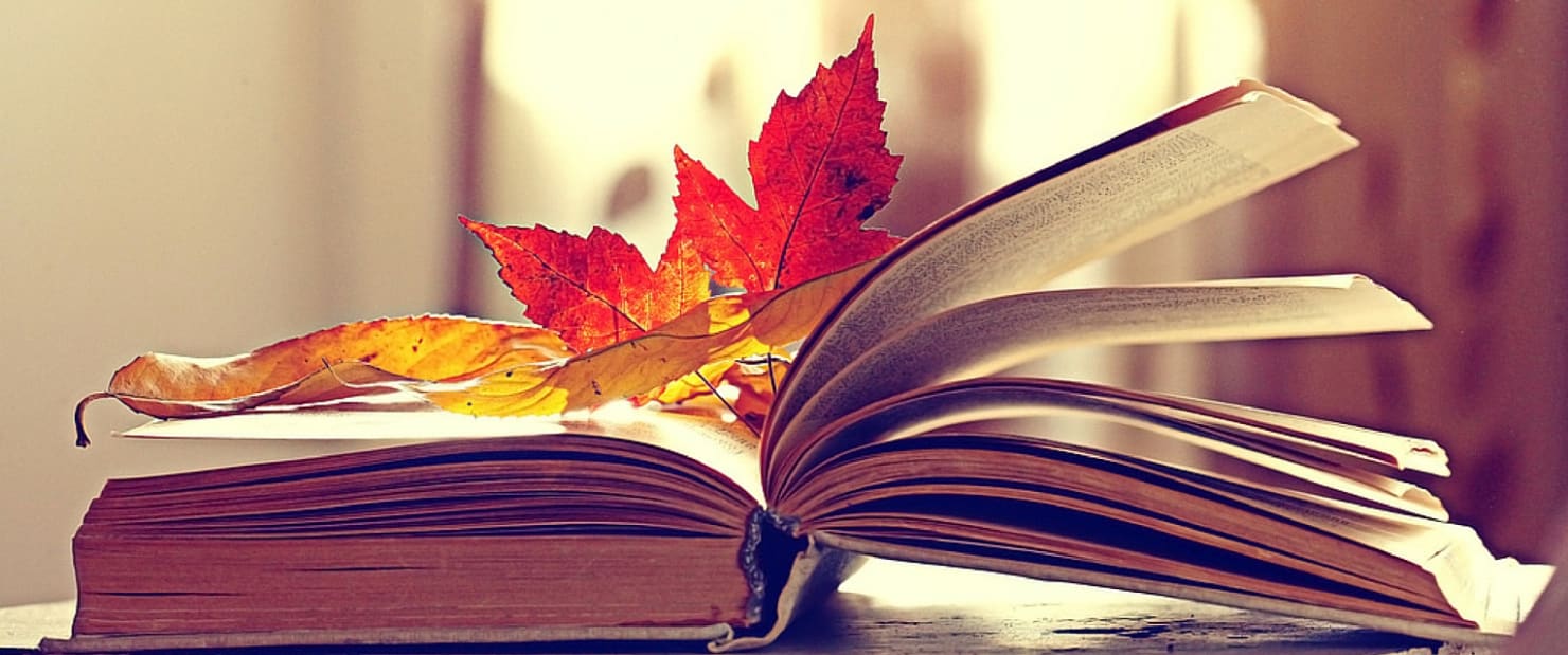 14 Fall Books to Get You in the Mood for Autumn