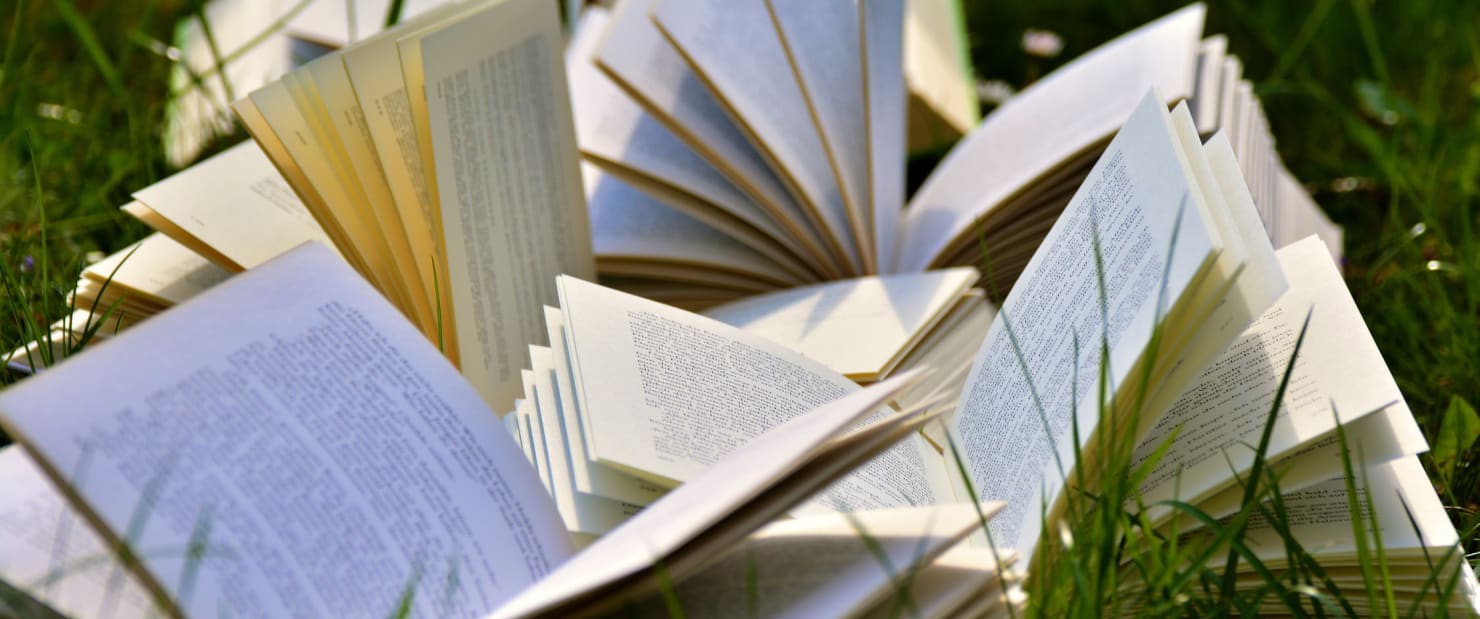 BookBub 2020 reading challenge