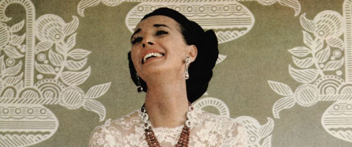 Everything to Know About 'The Princess Spy' Book