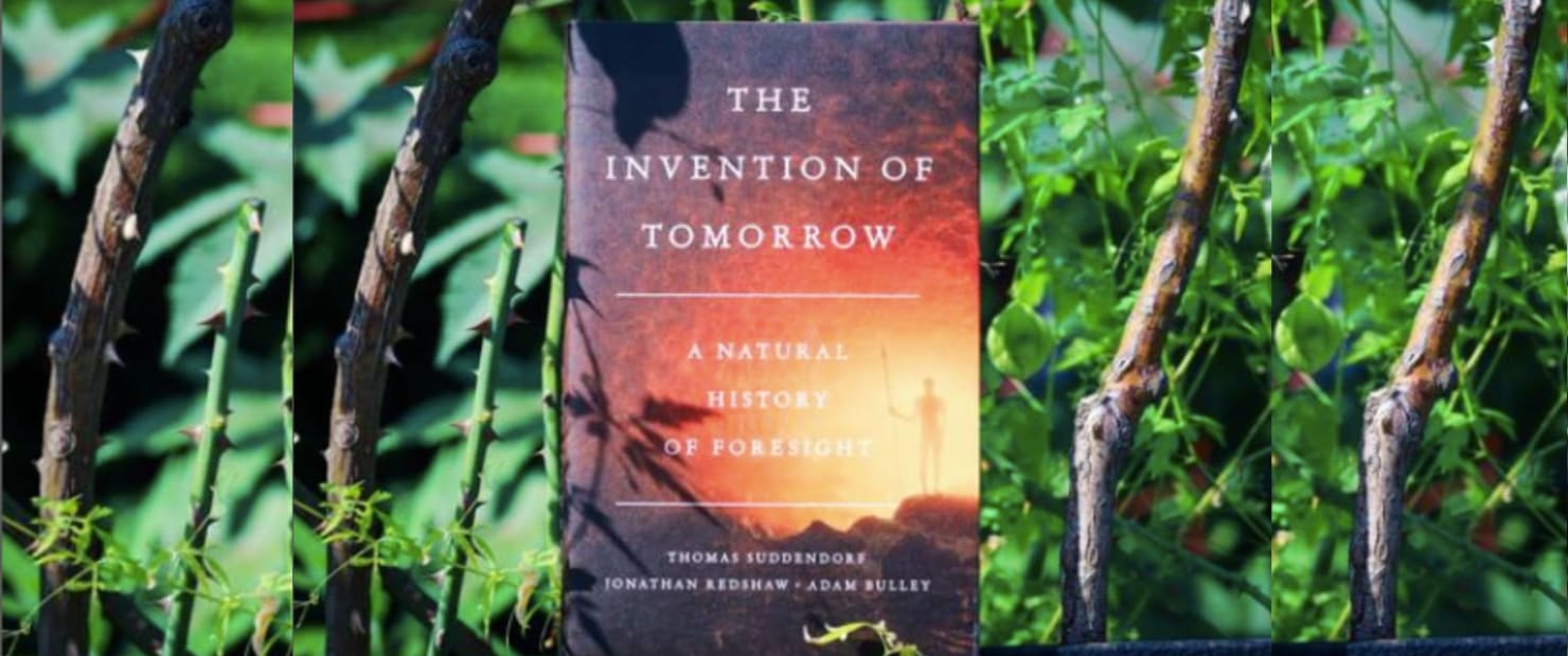 Books to Help You Understand People Better