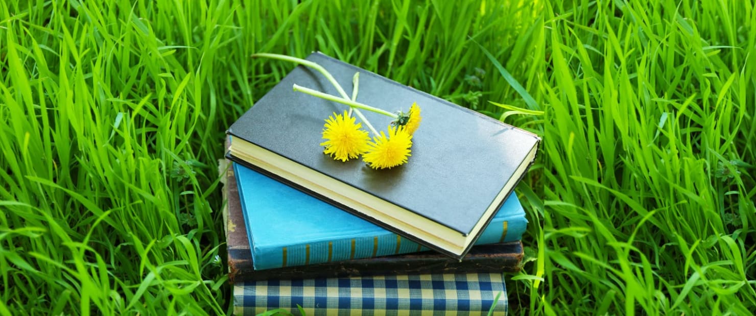 Charming Spring Books About Fresh Starts.