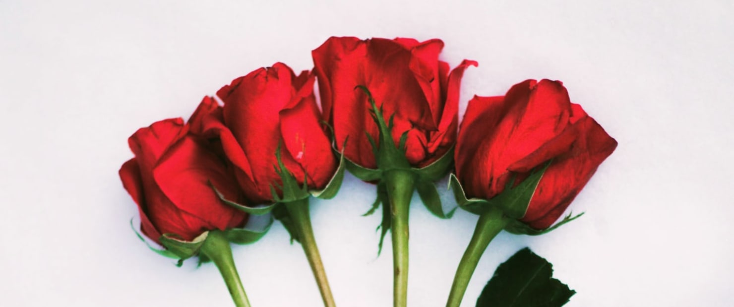 The Best Books to Read if You Love Reality TV