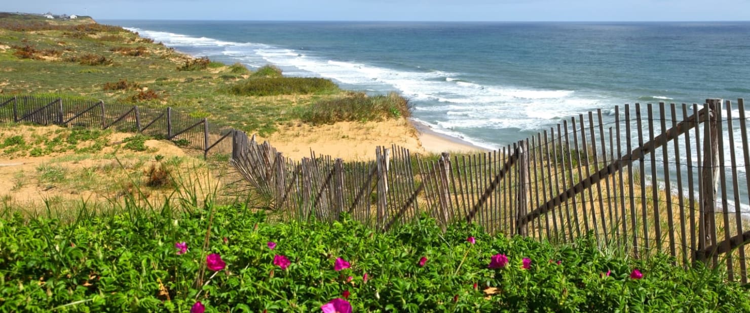 Books Set on Cape Cod and the Islands
