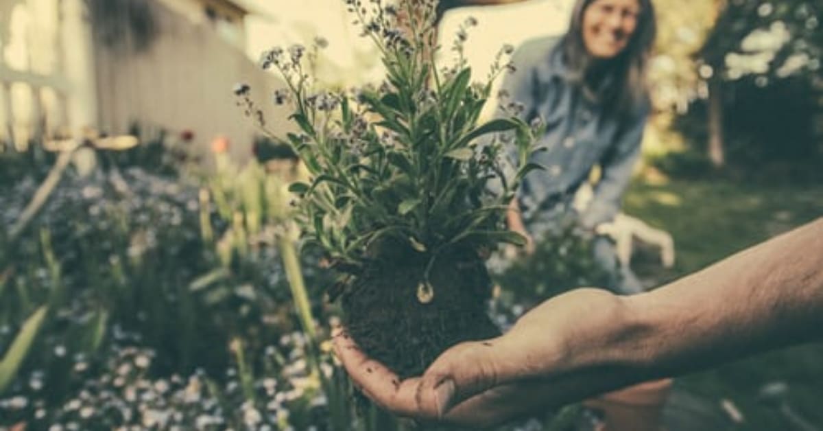 54 of the Best How-To Books to Learn Any Skill