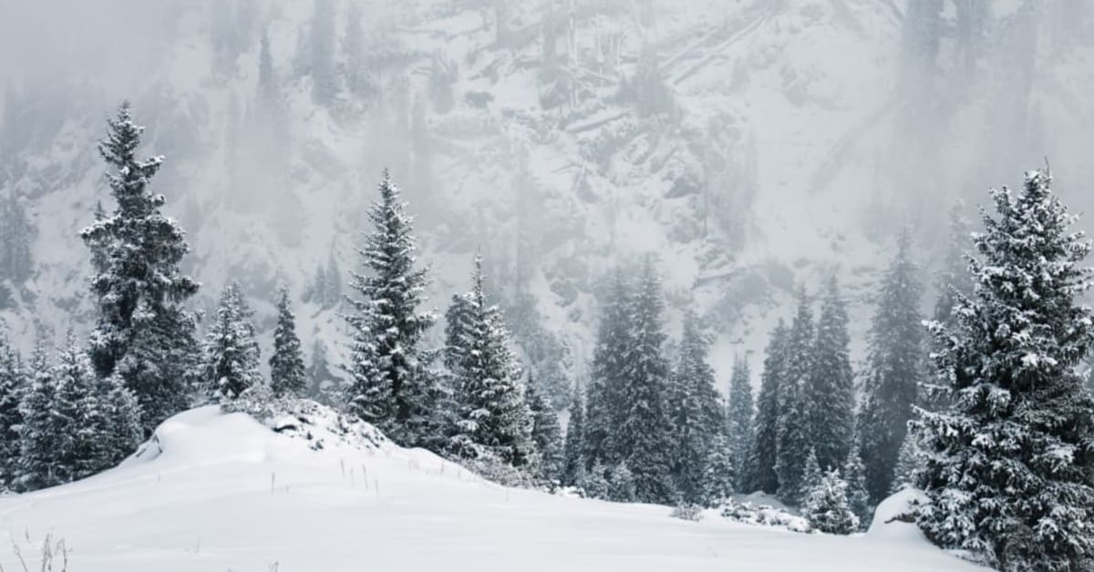 17 Gripping Mysteries and Thriller Books Set During Icy Snowstorms