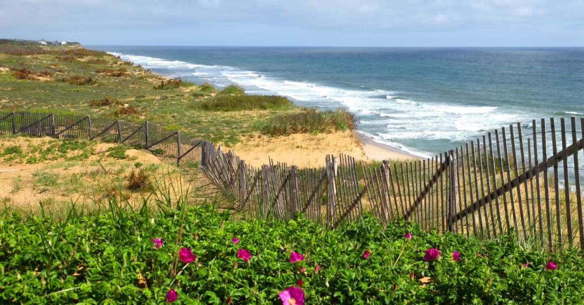 Books Set on Cape Cod and the Islands